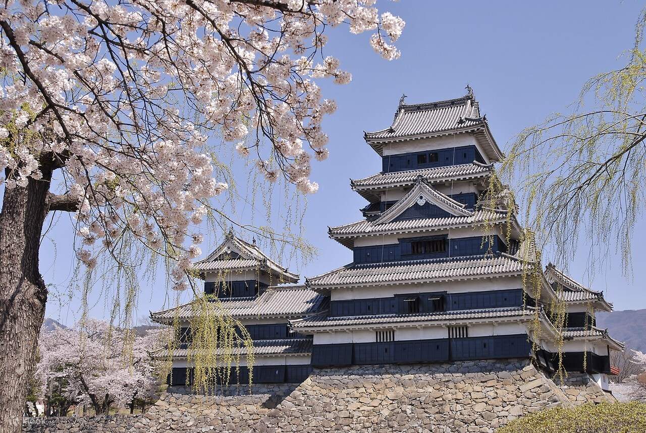 [Nagano Cherry Blossom Day Trip] Takato Castle Ruins Park, the Best ...